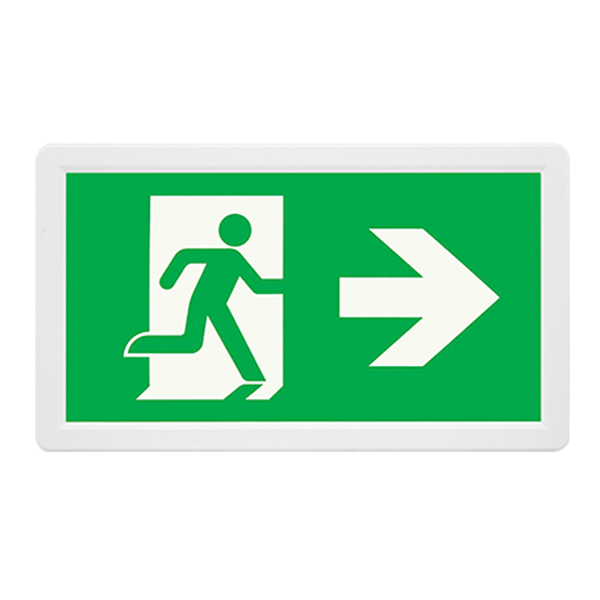 ESP Duceri 3W LED Slimline Emergency Exit Box - All Legends | Safe Fire ...
