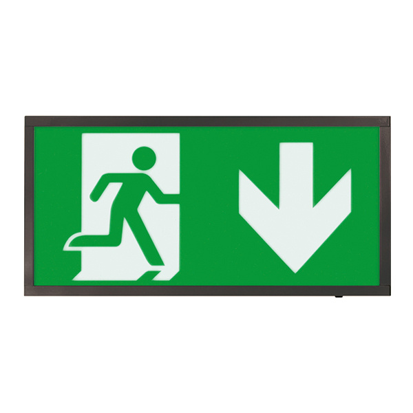 ESP Duceri 3W LED Black Emergency Exit Box - Down | Safe Fire Direct