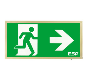 ESP Duceri Auto Emergency Light Test Key Switch | Safe Fire Direct